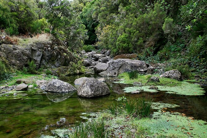 Madeira Levada Walk - Rabacal Lakes and Fountains - Tips for a Successful Levada Walk