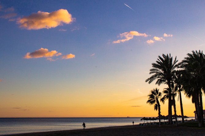 Malaga Highlights, Old Town & Viewpoints Walking Tour - Meeting and Pickup Logistics
