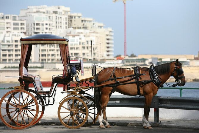 Malta Private Tour: 5hr Mosta Dome, Mdina, Dingli Cliffs & Blue Grotto - Accessibility Options