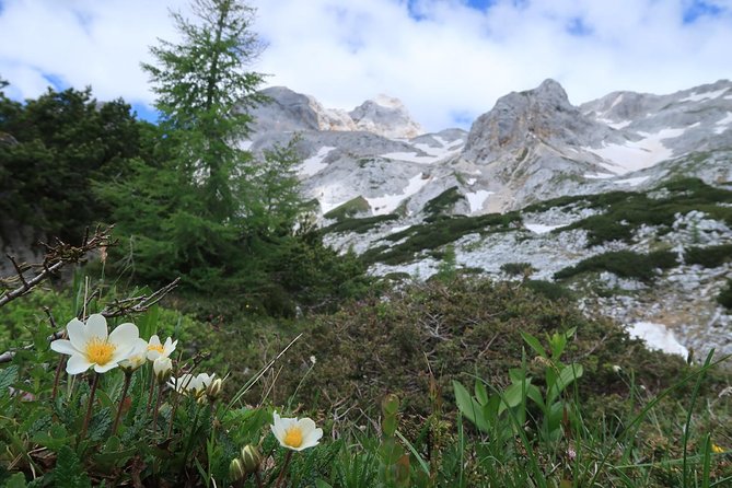 Mighty Mount Triglav Climb-summer Special-join Group - Summit Climb and Stunning Views