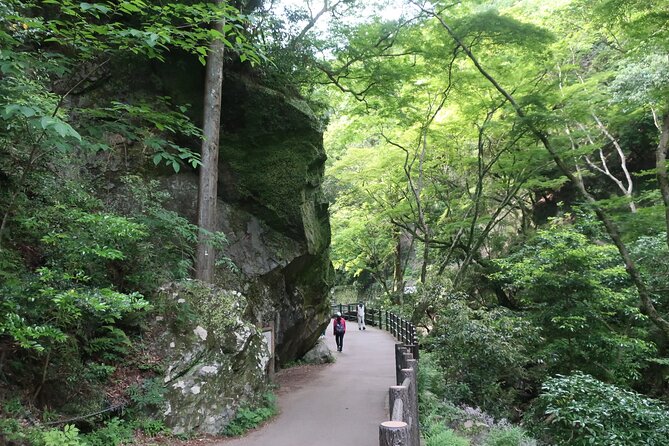 Minoh Waterfall and Nature Walk Through the Minoh Park - Dining on a Delicious Lunch During the Tour