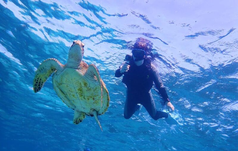 Miyako Island: Pumpkin Limestone Caving & Snorkeling - Refreshing Dip at the Diving Spot