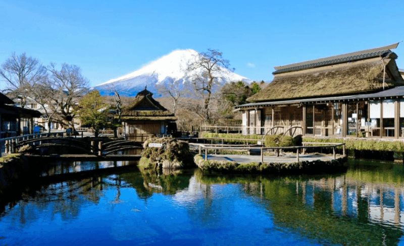 Mount Fuji and Hakone Customize Private Tour English Guide - Additional Information