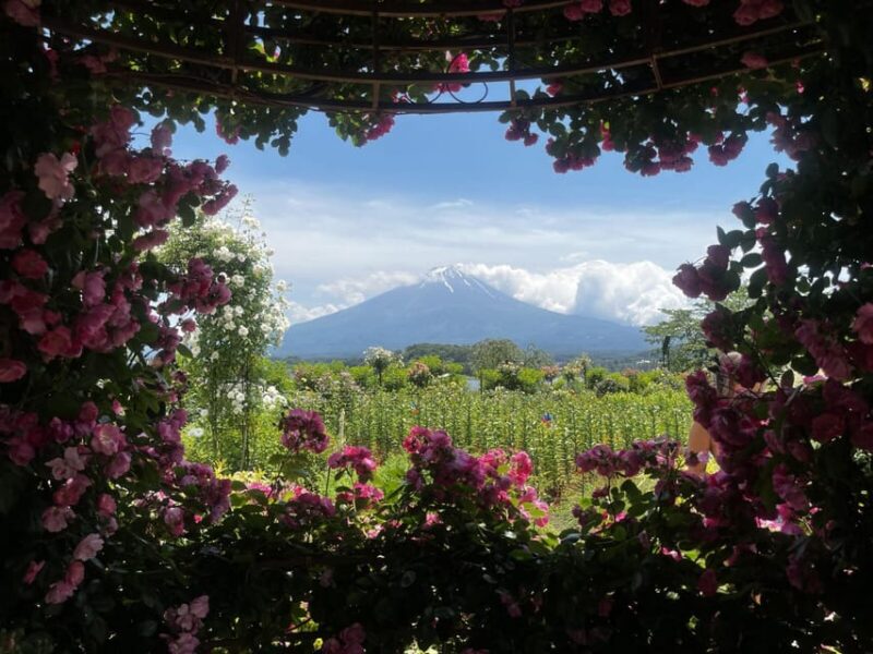 Mount Fuji Day Trip: Adventure Around Lake Kawaguchiko - Oishi Park: Scenic Views of Mount Fuji