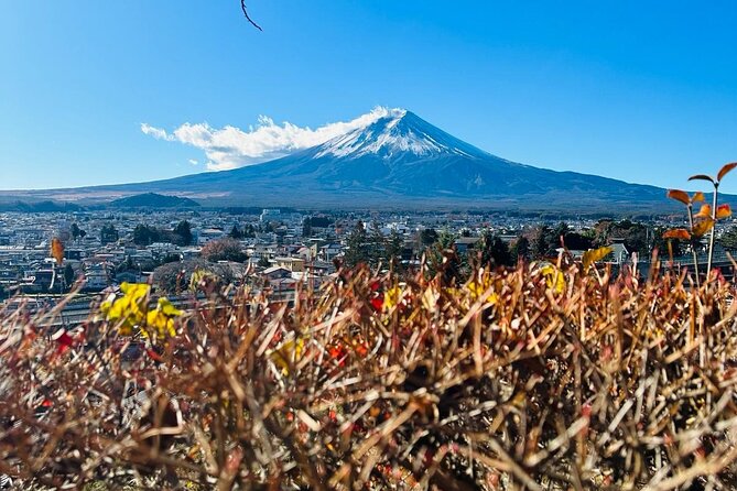 Mount Fuji Full Day Private Tour - Tour Inclusions