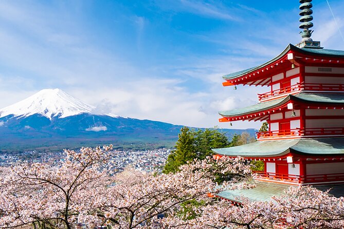 Mount Fuji Full Day Sightseeing Tour From Tokyo - Comparison to Alternative Tours