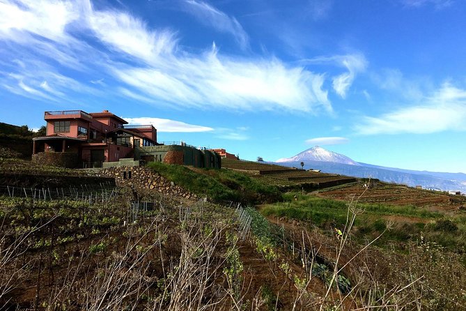 Mount Teide and Tenerife North With Food & Wine Tasting Private Tour - Transportation and Accessibility