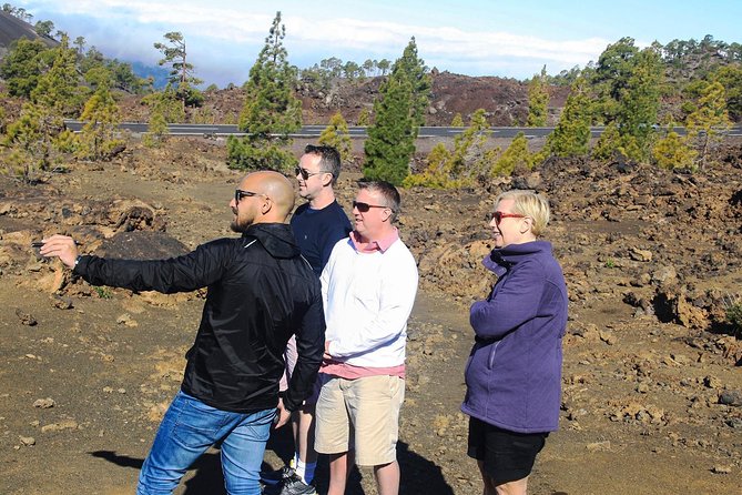 Mount Teide and Teno Country Park Private Tour - Exploring Mount Teide