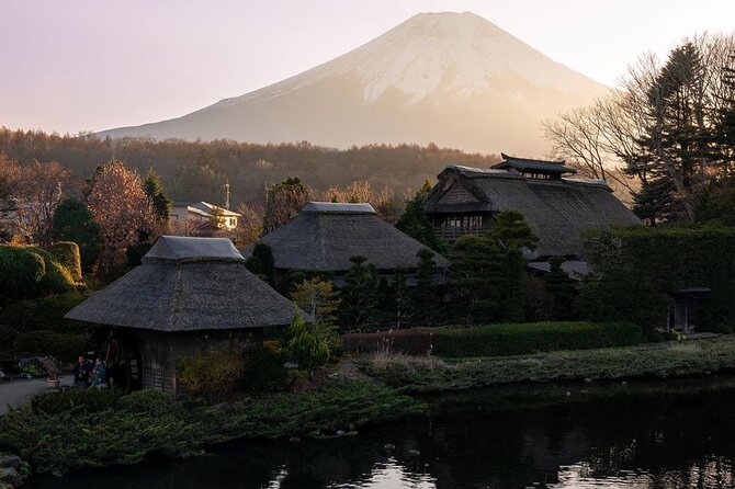 Mt Fuji and Hakone Private Day Tour With English Speaking Driver - Experiencing Hakone