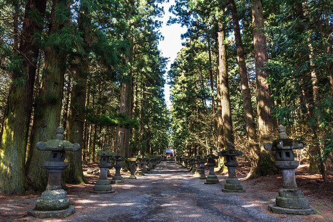 Mt.Fuji and Hakone Tour - Discovering the Majesty of Mt. Fuji