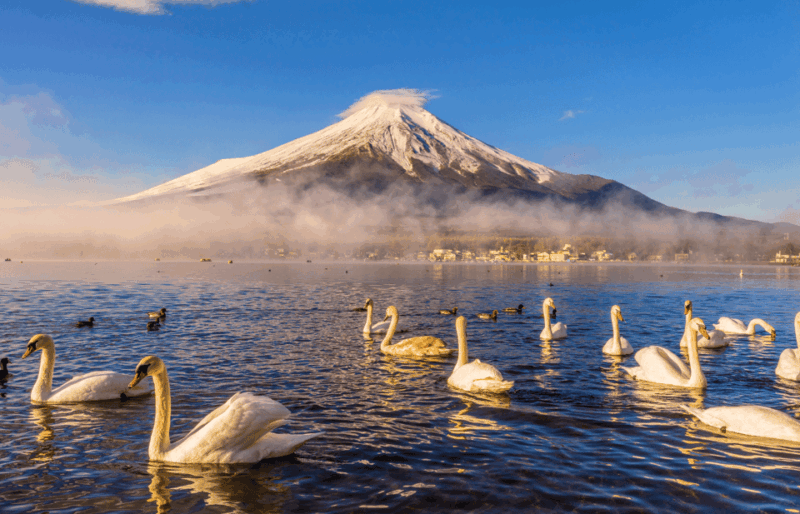 Mt. Fuji Day Trip in MERCEDES-BENZ (English Speaking Driver) - Oshino Hakkai and Kitaguchi-hongu Fuji Sengen Shrine