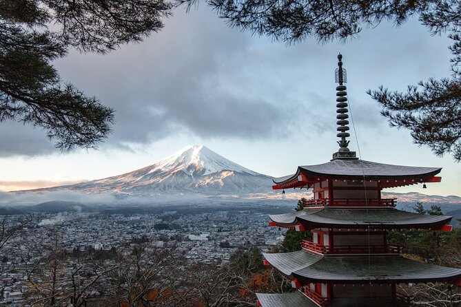 Mt Fuji, Hakone Private Tour by Car With Pickup - Customized Itinerary Options