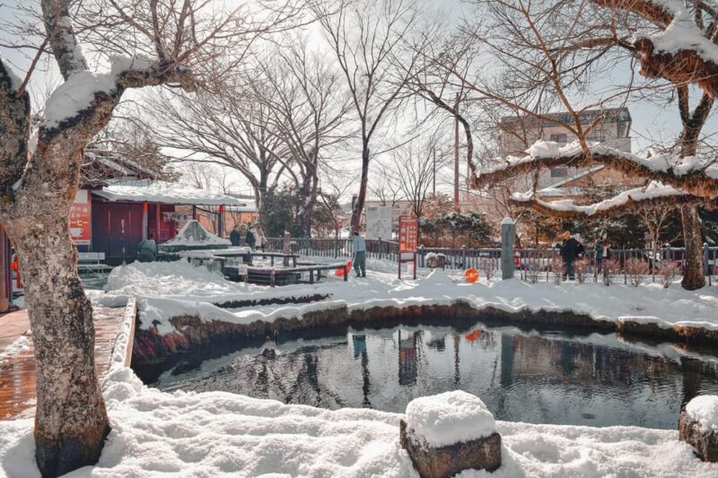 Mt.Fuji Private Tour With Pick & Drop Service - Inclusions in the Tour Package