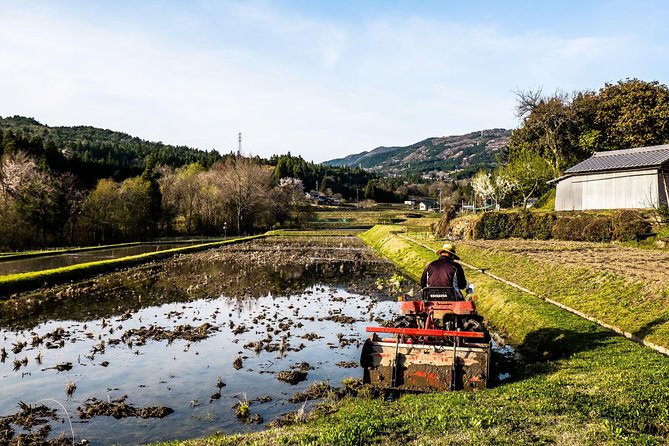 Nakasendo Self-Guided Walking Tour 2 Days - Pricing and Booking