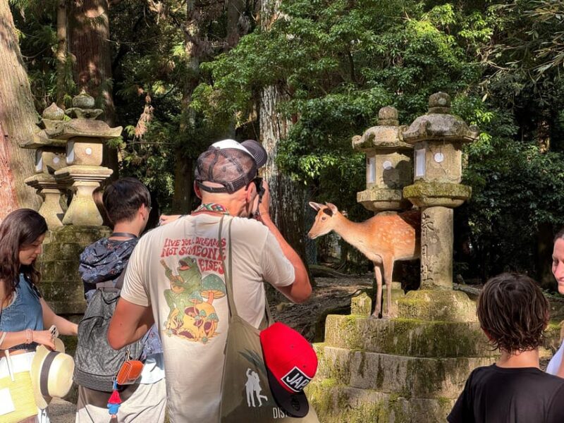 Nara: Half-Day Private Tour of 4 Must-See Spots & Deer Park - Frequently Asked Questions