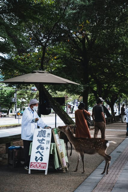Nara Heritage Walkabout From Nara Park to Todaji-Ji Temple - Nara Machi Exploration