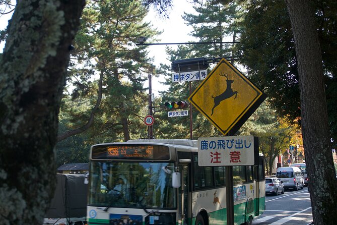 Nara Heritage Walkabout From Nara Park to Todaji Temple - Exploring Naras Rich Heritage