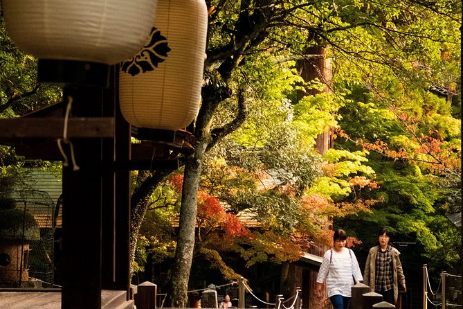 Nara Private Customizable Half Day Tour - Customizing the Tour Itinerary