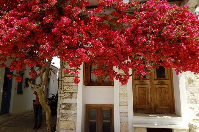 Naxos: Highlights of Naxos Day Tour - Transportation and Logistics