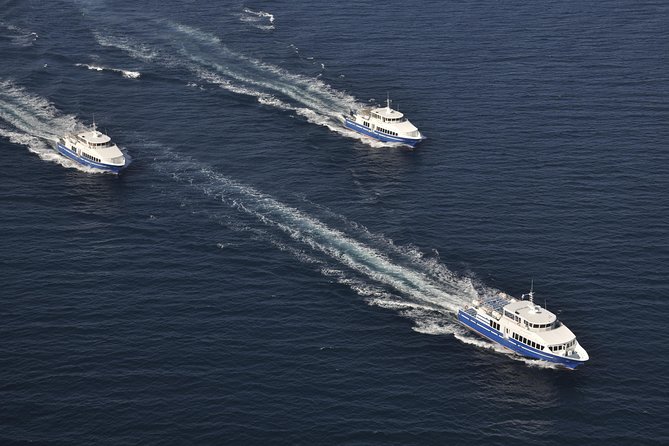 Nice to St Tropez Ferry Ticket and Cruise - Group Size and Cancellation Policy