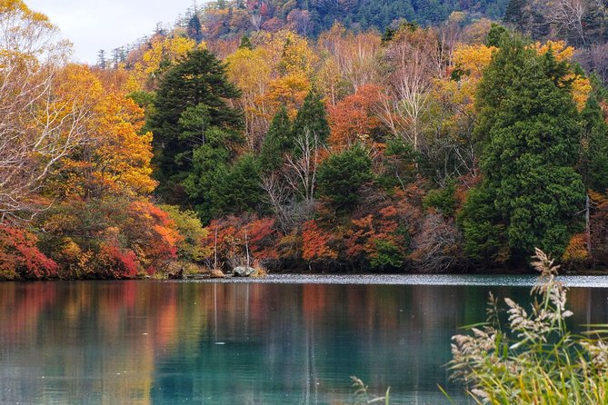 Nikko Private Customizable Full Day Tour - Common Questions
