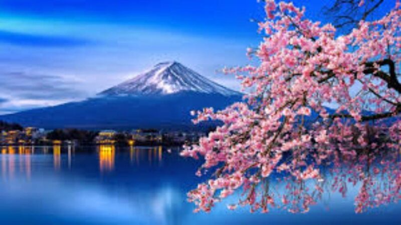 Nikko Private Tour With English Speaking Driver - Customer Feedback and Testimonials