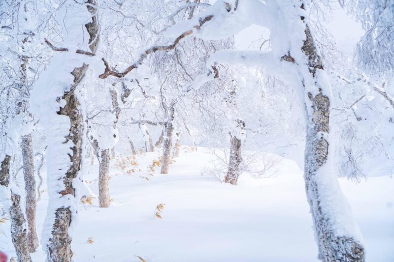 Noboribetsu: Orofure Pass Snowshoeing Tour - Exploring the Orofure Pass