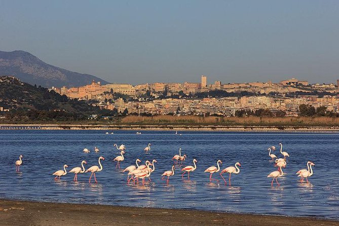 Nora Tour From Cagliari - Traveler Feedback and Ratings