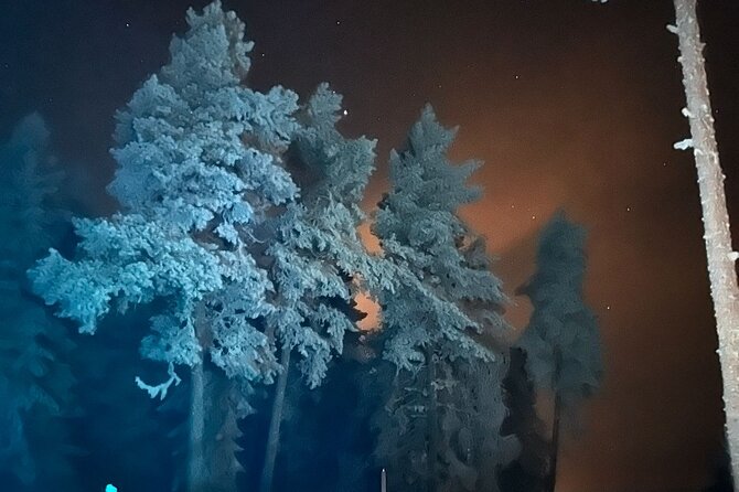 Northern Lights Dinner in a Glass Igloo - Private and Exclusive Experience