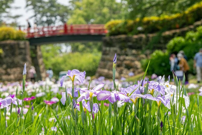 Odawara Castle and Town Guided Discovery Tour - Navigating the Tour With Personalized Assistance