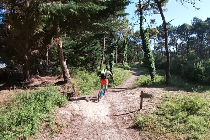 Off-Road Electric Scooter - 2h30 Guided by GPS - Carnac - What to Expect