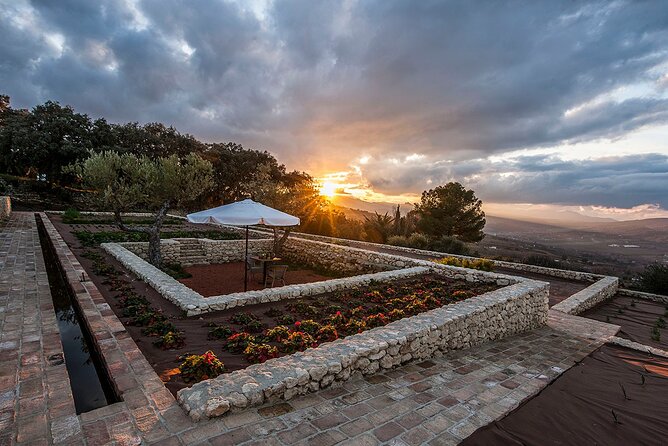 Oil Mill Museum and Olive Oil Tasting Review - Highlights From Visitor Reviews