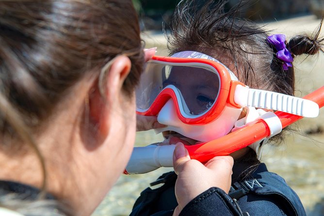 OK From 2 Years Old! / Sea Picnic & Snorkel - Highlights of the Experience