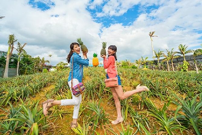 Okinawa Hip-hop Bus A Course Tour｜Churaumi Aqualium,Kori Island - Nago Pineapple Park