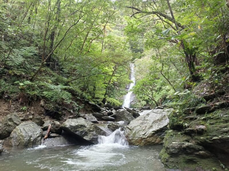 Okinawa: Private Georgeous Beach & Snorkel Tour - Customizable Tour Options