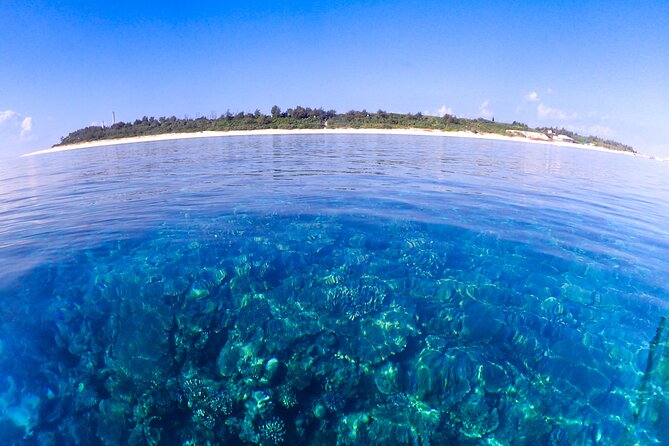 Okinawa Scuba Diving for Certified Divers (3 Boat Dives + Lunch) - Diving Experience