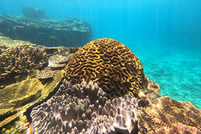 Okinawas Gorgeous Beach & Snorkel Tour: Private & Customised - Explore Okinawas Stunning Beaches
