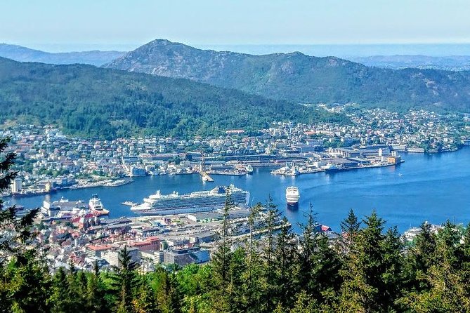 On Top of Bergen - Public Tour - Exploring the Trails