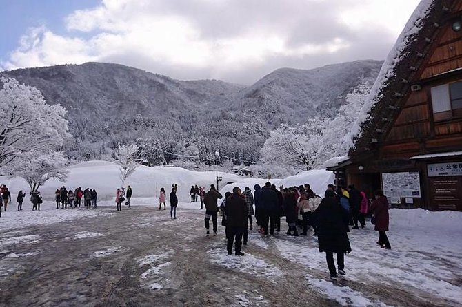 [One-Day Bus Tour Departing From Kanazawa Station] Shirakawa-Go/Takayama Tour Platinum Route Bus Tour - Traveler Feedback and Recommendations