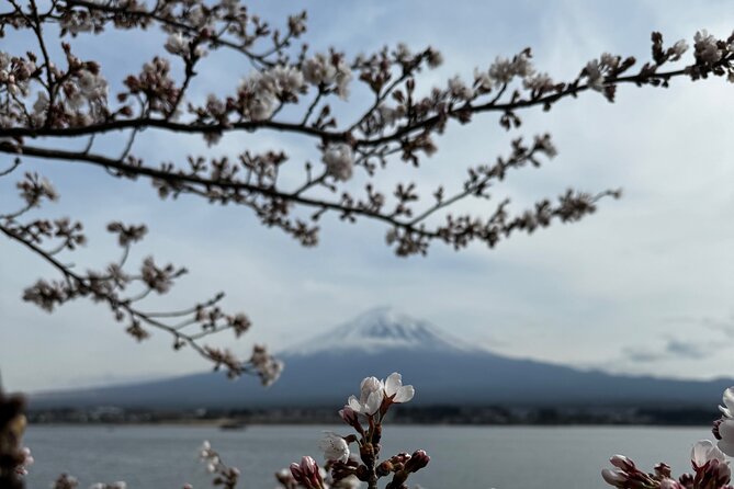 One Day Mountain Fuji & Hakone Tour With English Hindi Bilingual - Destination Highlights: Mount Fuji