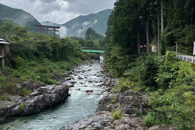 One Day Private Tour in Nikko From Tokyo - Guest Reviews and Feedback