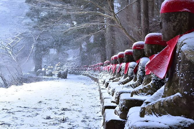 One Day Private Tour to Nikko With English Speaking Driver - Reviews and Feedback