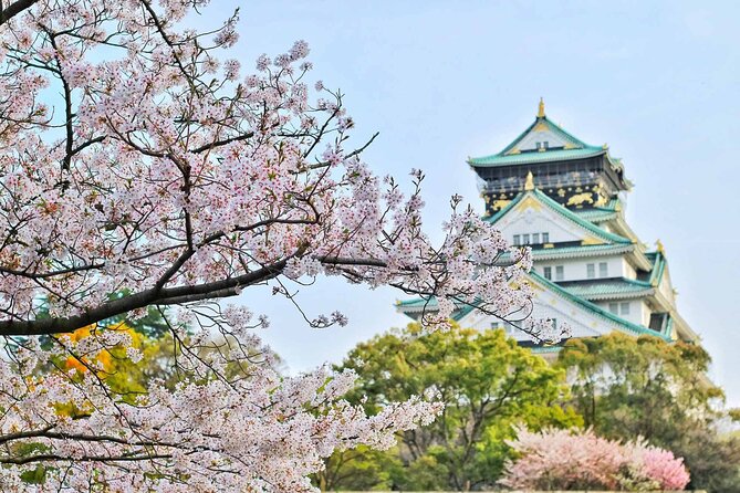 Osaka 6 Hr Private Tour: English Speaking Driver Only, No Guide - Customer Feedback