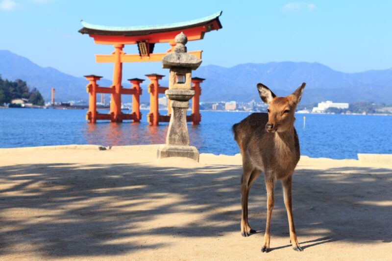 Osaka/Kyoto: Hiroshima and Miyajima Trip With Indian Lunch - Making the Most of Your Hiroshima and Miyajima Adventure