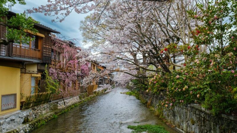 OSAKA-KYOTO-NARA Highlight Customized Trip With Hotel Pickup - Customer Ratings and Reviews