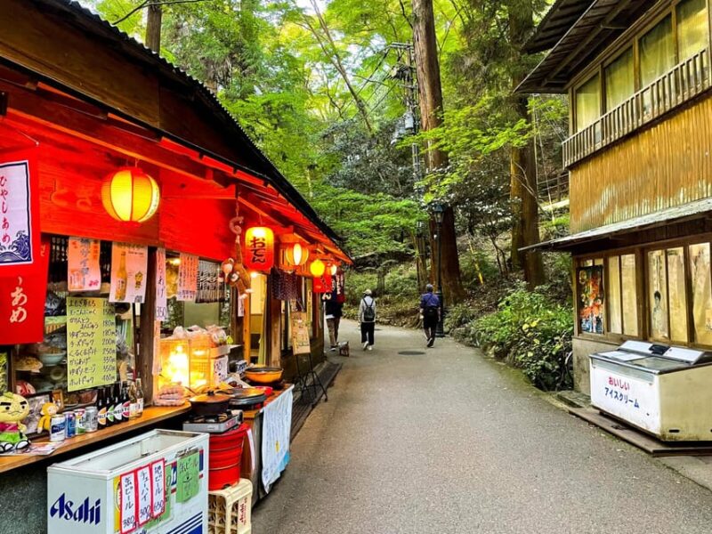 Osaka: Minoh, Katsuoji Temple, & Minoh Falls Full-day Tour - Frequently Asked Questions