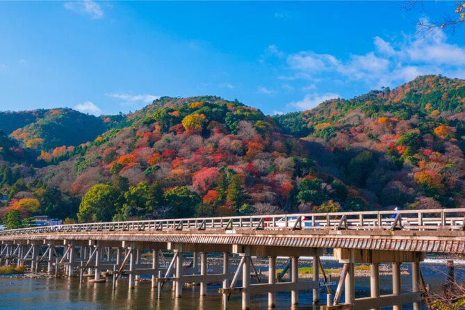 Osaka, Nara and Kyoto Day Trip With English Speaking Driver - Booking and Contact Information