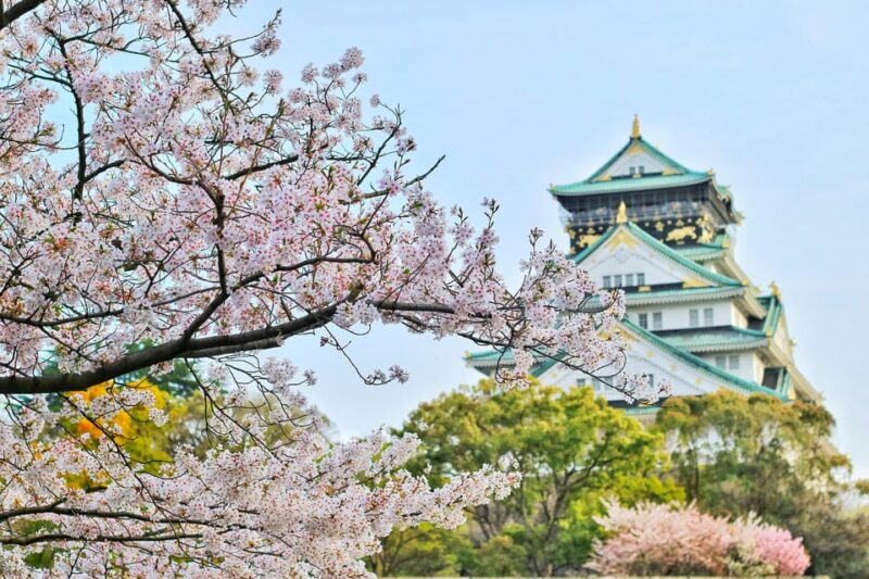 Osaka, Nara and Kyoto Day Trip With English Speaking Driver - Arashiyama Bamboo Forest Stroll