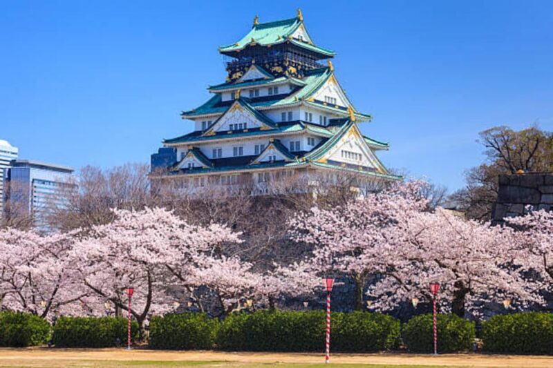 Osaka: Private Full-Day Tour With English-Speaking Driver - Kuromon Ichiba Market and Dotonbori District: Shopping and Dining Experiences