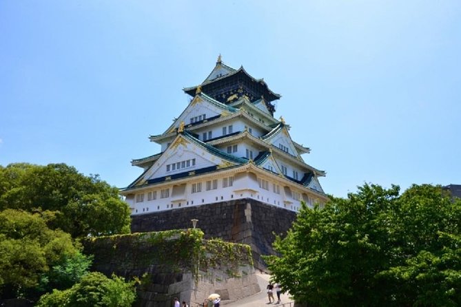 Osaka Private Tour by Public Transportation - Exploring Dotonbori